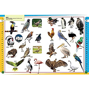 Children's Dictionary: 3,000 Words, Pictures, and Definitions