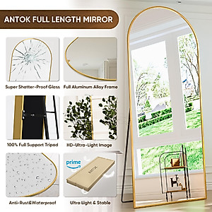 Antok Full Length Mirror, 71"x28" Arched Floor Mirror, Glassless Mirror Full Length with Stand, Floor Mirrors Freestanding, Wall Mounted Mirrors for Living Room, Gold