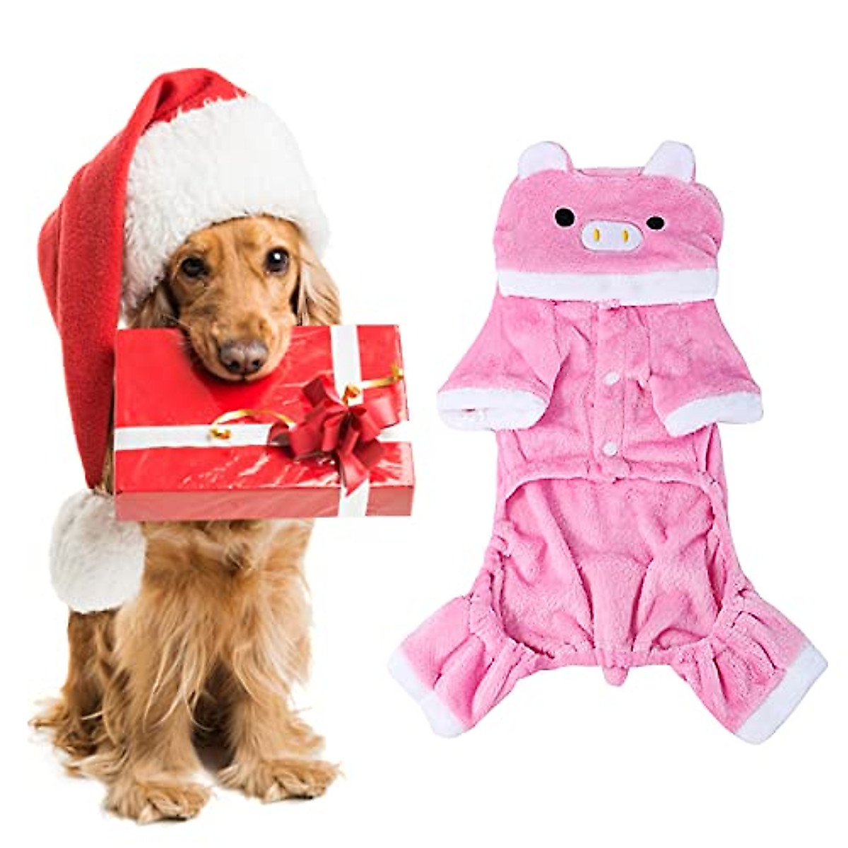 HonpraD Autumn and Winter Pet Clothes Into Four Legged Autumn and Winter Clothes for Small Dogs Female Basic Hoodie Soft Sweaters Winter Coat