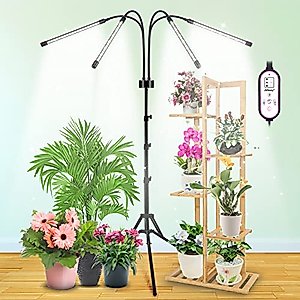 JIRBEEY Grow Lights with Stand for Indoor Plants Full Spectrum,80LEDs Plant Light with 25"-63" Adjustable Tripod, Dimmable Plant Growing Lamp with 4/8/12H Timer