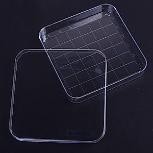 BCP 10 Pcs 36 Grid Squares Plastic Petri Dishes with Cover 100 x100mm Sterile