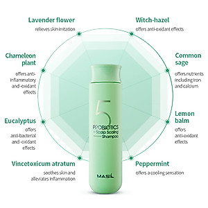 Masil Shampoo for Damaged Hair & Loss, Weakened Scalp Scaling, CMC Shampoo for Bouncy Hair, Travel Size, 5.1 Fl Oz