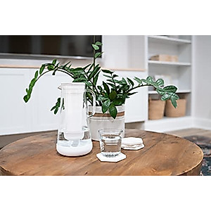 LifeStraw Silicone Base Accessory for Protection of Water Pitcher, Countertop Safe, for use in Kitchen and Refrigerator