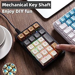 BRIMFORD Number Pad, Mechanical Numeric Keypad, RGB Digital Mechanical Keyboard 21 Keys with USB for Laptop, Notebook, Surface, Tabulation/Accounting Keypad (Shimmer Orange(PBT Keycaps))