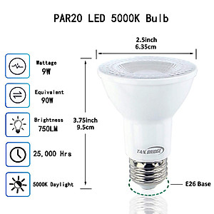 Hanway Recessed Daylight LED Light Bulbs Dimmable Energy Efficient 5000K Par Lamps with 9W(90Watts) E26 Base Indoor Outdoor Par20 Flood Lights Bulbs White Light 6 Pack