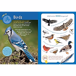 Backpack Explorer: On the Nature Trail: What Will You Find?