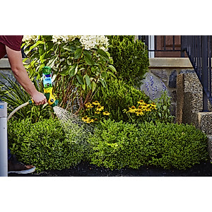 Miracle-Gro LiquaFeed Flowering Trees & Shrubs Plant Food 2-Pack Refills