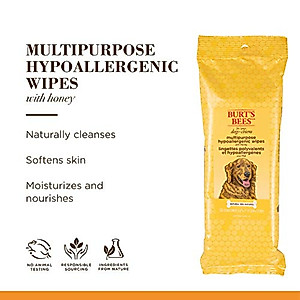 Burt's Bees for Dogs Natural Multipurpose Dog Grooming Wipes | Puppy & Dog Wipes for All Purpose Cleaning | pH Balanced for Dogs - Made in USA, 50 Count Pet Wipes - 2 Pack