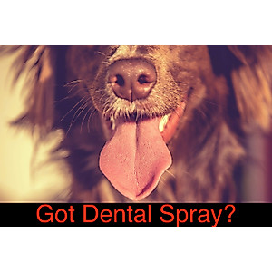 Warren London Doggy Dental- Dog Breath Freshener Spray & Pet Water Additive- Made in USA- 8oz