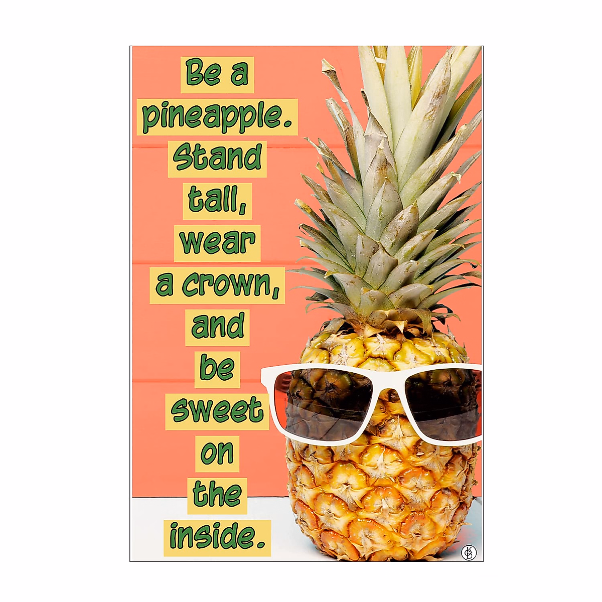Inspirational Pineapple Magnet for Refrigerator Locker Toolbox Car White Board Ammo Can - 4 x 6 Inches - Be A Pineapple - KCM0158