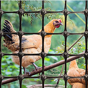 WDJBPSH Extra Long Garden Netting Fence, Multi-Purpose Backyard Lawn Safety Fencing, Large Temporary Barrier Chicken Wire Protection Yard (Color : H X L, Size : 1.2x30m/3.9ftx98.4ft)