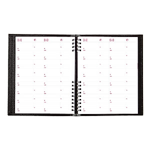 Brownline 2024 CoilPro Daily Professional Planner, Four-Person Appointment Book, 12 Months, January to December, Twin-Wire Binding, 11" x 8.5", Black (CB960C.BLK-24)
