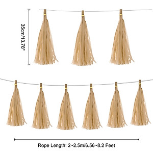 MECCANIXITY 15Pcs Khaki Tassel Garland Banner with Rope Tissue Paper Tassels Party DIY Kits for Anniversary Wedding Birthday Party