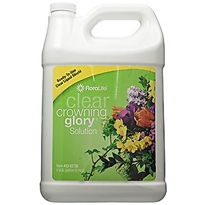 Smithers Oasis Floralife Clear Crowning Glory-1 Gallon Lawn Garden, White