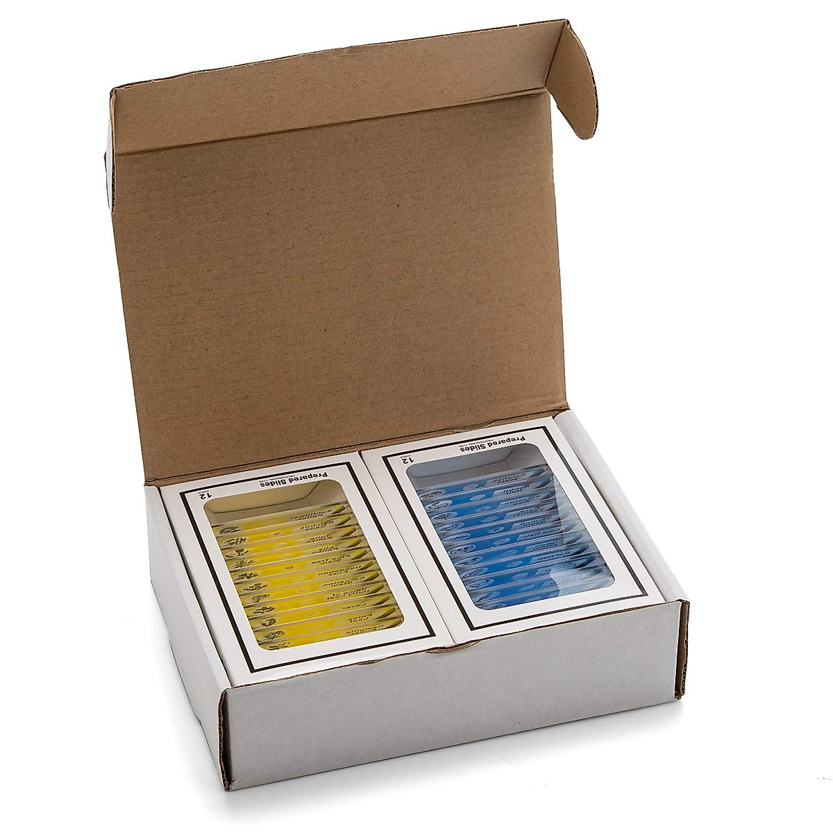 48pcs Kids Plastic Prepared Microscope Slides of Animals Insects Plants Flowers Sample Specimens for Microscopes