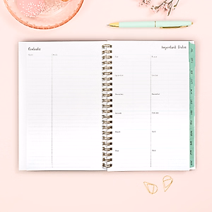 Blue Sky 2023-2024 Academic Year Weekly and Monthly Planner, 5" x 8", Frosted Flexible Cover, Wirebound, Laurel (144724)