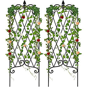Amagabeli 2 Pack Garden Trellis for Climbing Plants 60" x 18" Rustproof Black Iron Potted Vines Vegetables Vining Flowers Patio Metal Wire Lattices Grid Panels for Ivy Roses Cucumbers Clematis GT04