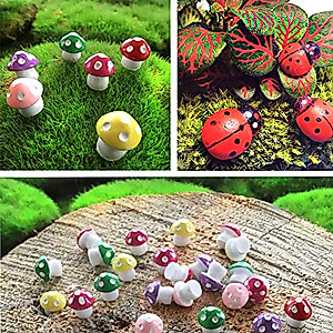Tophappy 100pcs Miniature Fairy Garden Ornaments Kit Set, Ladybugs,Mushrooms, Flowers with Tools for DIY Fairy Garden Décor
