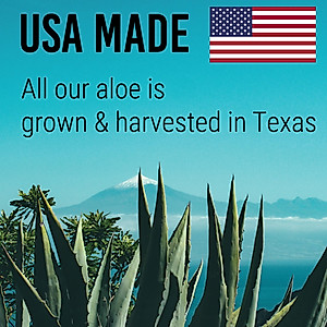 Amazing Aloe Vera Gel - Freshly Cut, 100% Pure Aloe, Premium Quality, Vegan, Unscented - Natural Sunburn Relief, After Shave, Skin, Face & Hair Care 8oz