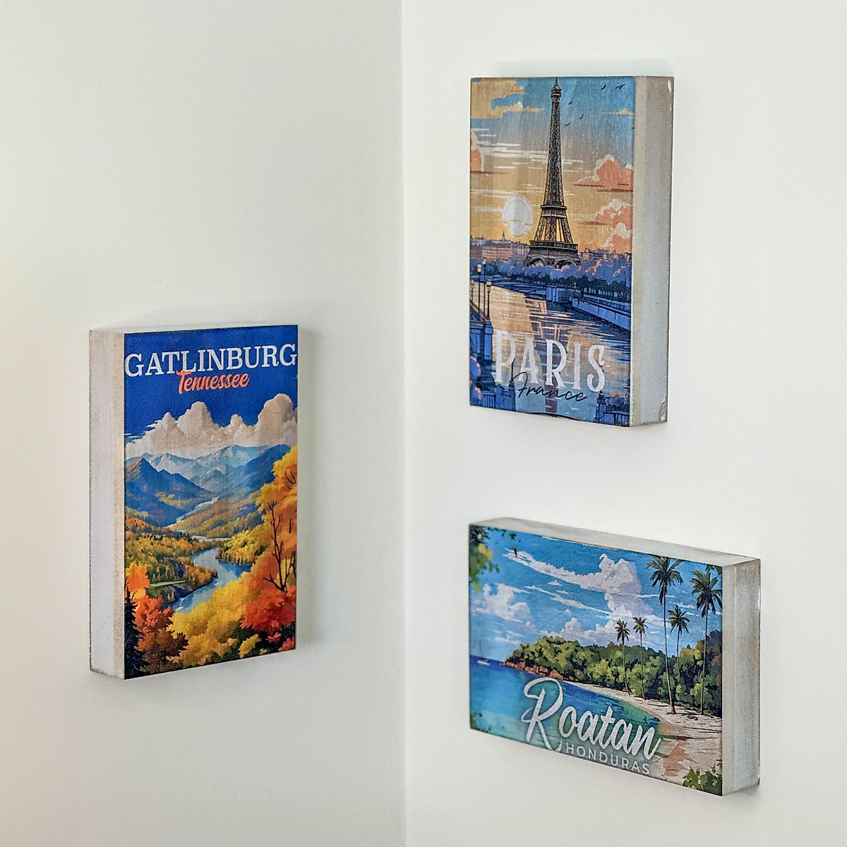 R and R Imports Micanopy Florida 9X6-Inch Souvenir Wood Sign With Frame Must Go Design