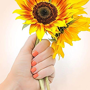 Mineral Fusion Nail Polish, Sunkissed, 0.33 Ounce