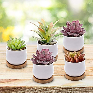 SHECIPIN Succulent Plant Pot, White Mini 2.6 inch Ceramic Flower Planter Pot with Bamboo Tray, Pack of 8 - Plants Not Included