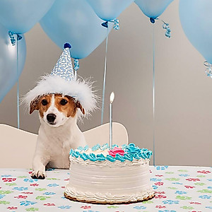 6Pcs Silver Long Thin Birthday Candles for Cake, 5.1 Inch Cake Candles, Wedding Decorations, Birthday Parties ，Cake Decorations，Party Candles, Sparkler Candles