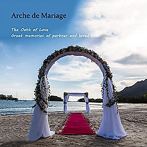 Metal Garden Arch Trellis Frame Roses Vines Plants Climbing Archway Rose Arch for Outdoor Garden Wedding W120cm-320cm (High : 2.4m, Size : 3m/9.8ft)