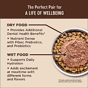 Wellness CORE+ Digestive Health Grain-Free Natural Wet Cat Food, Sensitive Stomach, Easily Digestible (Salmon Pate, 3 Ounce Can, 12 Pack)