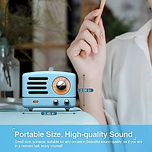 Muzen OTR Metal Portable Bluetooth Speaker with Retro knob Tuner FM Radio, Also with Suitcase Gift Case, Wireless Bluetooth Speaker with Loud Stereo Sound, for Home Outdoor Travel