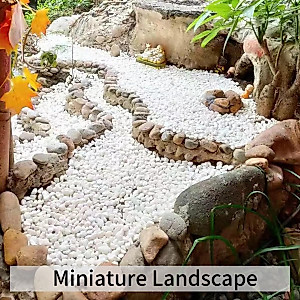 FANTIAN 2 lbs White Gravel, 3/8 Inch White Pebbles for Indoor Plants. White Stones for Succulents, Planters, Vase and Outdoor Garden Landscaping