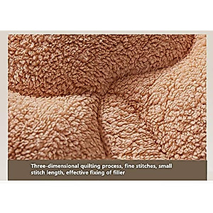 Plush Thicken Floor Mattress Non-Slip Quilting Tatami Mattress Japanese Foldable Futon Mat Single Double Mattress Topper Full Size for Adult Child etcC-100x200cm(39x79inch)