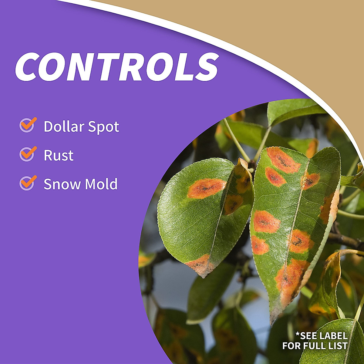 Bonide Captain Jack's Lawnweed Brew, 128 oz Ready-to-Use Spray with Power Wand, Fast-Acting Formula Controls Weeds, Moss, Algae, Lichens & Disease