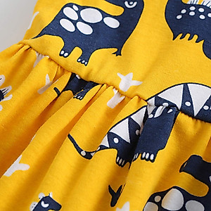 Jeinxcn Toddler Baby Girl Dinosaur Party Dress Summer Holiday Dress Outfit Clothes 4T