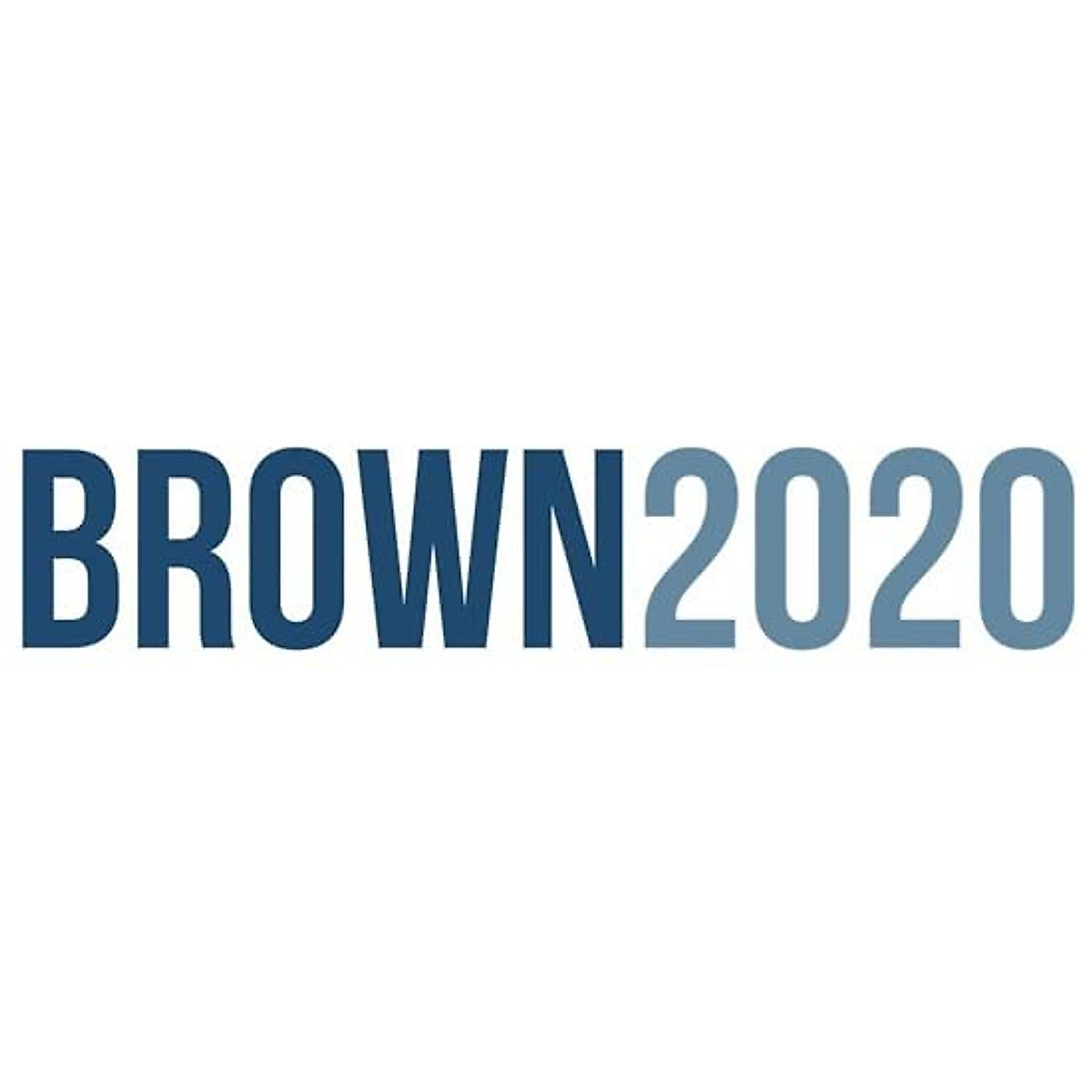 CafePress Sherrod Brown 2020 Ceramic Coffee Mug, Tea Cup 11 oz