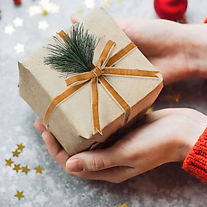 Chuangdi 3/8 Inch, 60 Yard Christmas Khaki Velvet Ribbon Wide Vintage Velvet Ribbons for Christmas Tree Ornaments Flower Bouquets Wedding Wreath Bow Making DIY Craft Choker