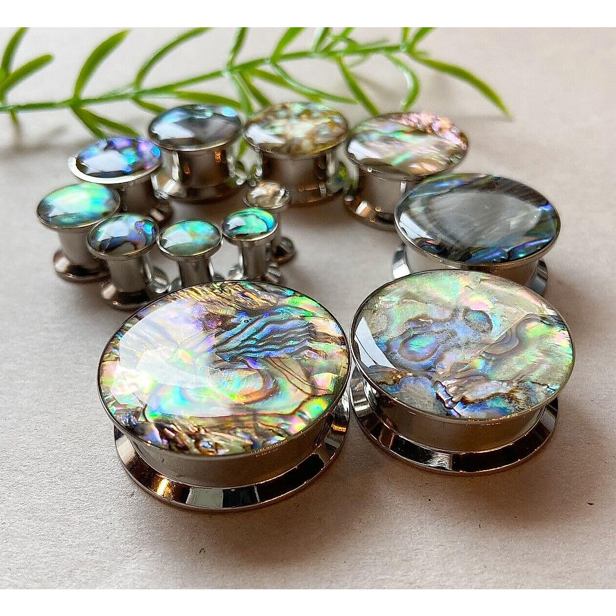 Lobal Domination PAIR Abalone Inlay Steel Screw Fit Plugs Tunnels Earlets Gauges Pierced Body Jewelry (6g (4mm))