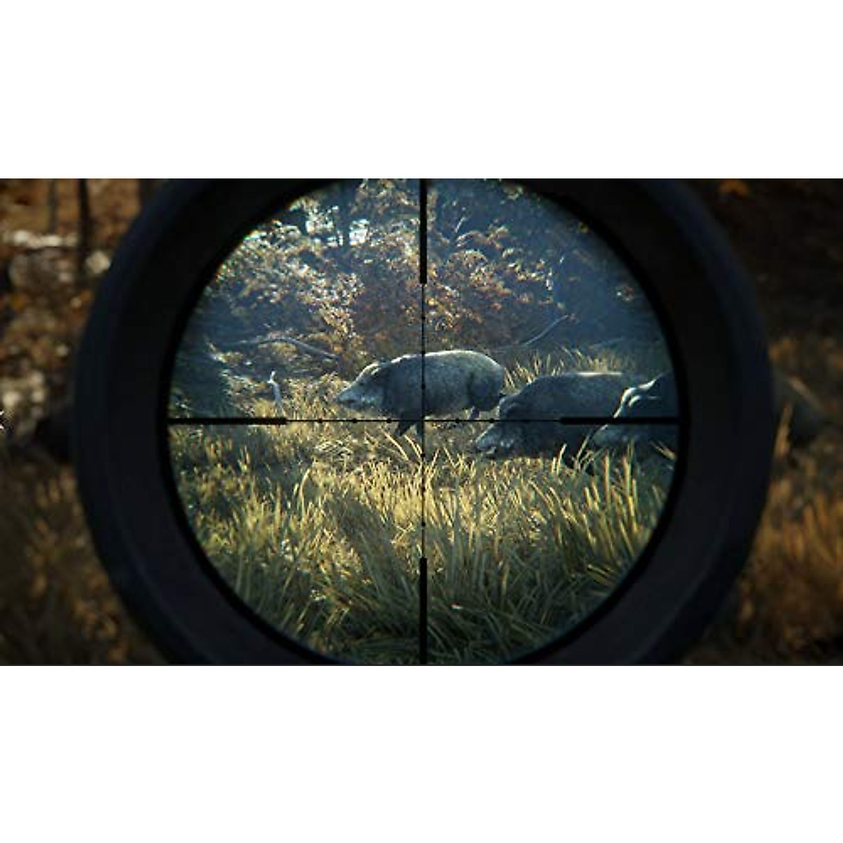 theHunter: Call of the Wild - 2019 Edition - PS4 (PS4)