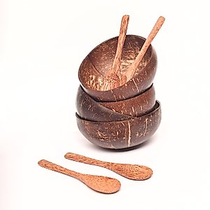Natural Craft Coconut Bowls and Spoons set (Set of 4)