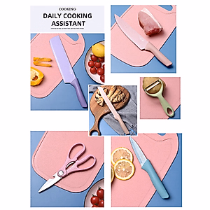 Colorful Kitchen Knives Set of 6 PCS Cute Fruit Knife Set with Gift Box,High Carbon Steel Kitchen Knife Set without Block, Environmental Wheat Straw Material Handle, Sharp Professional Chef Knife