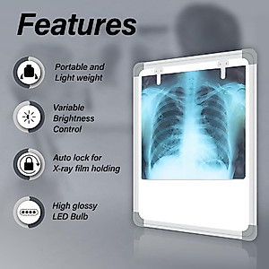 LABTECHZONE LABEX LED X-Ray View Box with Automatic Film Activation & Variable Brightness Control