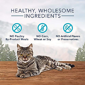 Blue Buffalo Wilderness Grain Free Soft-Moist Cat Treats, Chicken & Turkey 2-oz Bag