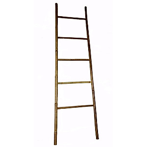Bamboo Ladder, 84H"