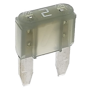 Yoiilnz 20pcs Mini Blade Fuse and 1 Fuse Puller 2A 32V Fast Blow for Replacement Fuses for Car/RV/Truck/Motorcycle/Boat (Mini 2 Amp)