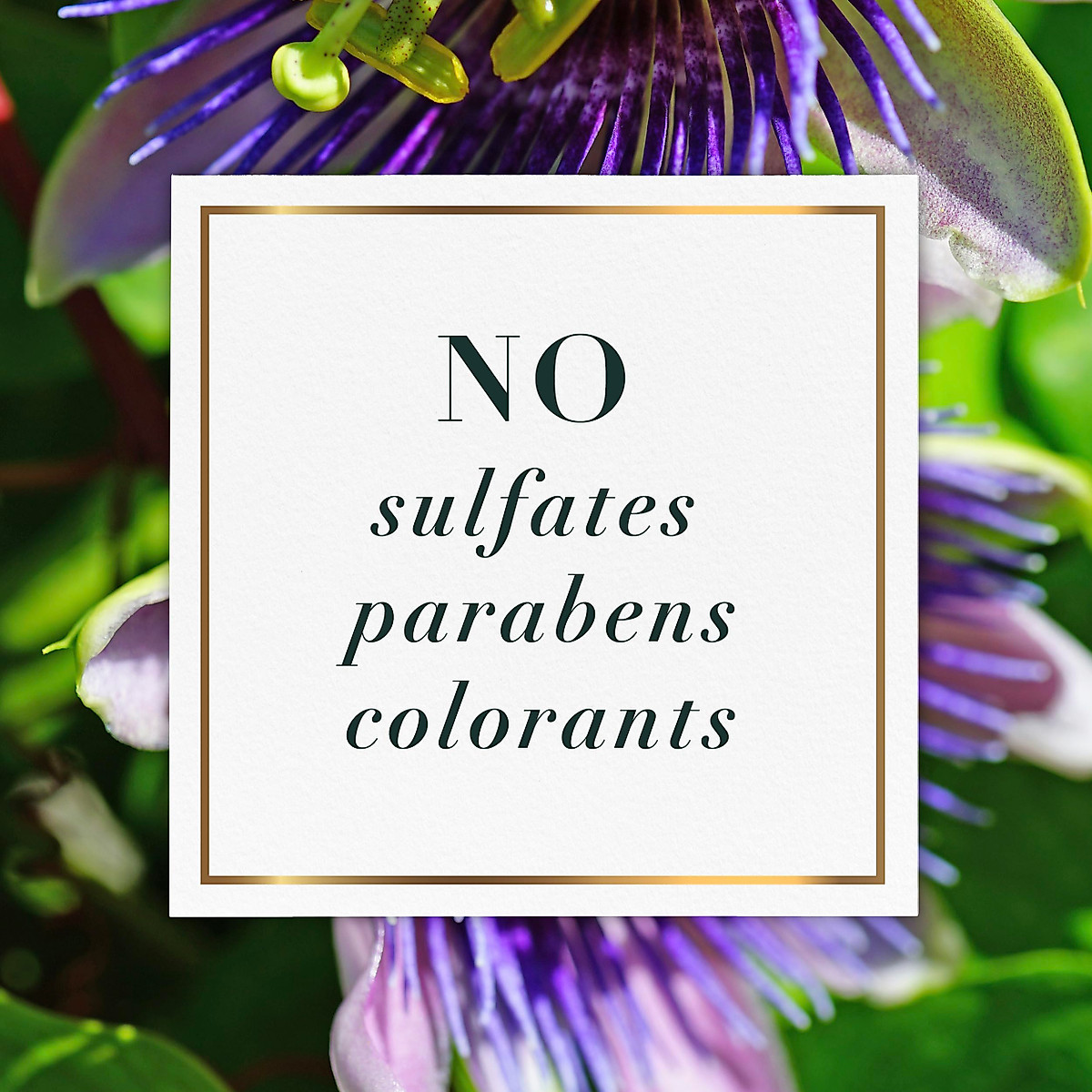 Passion Flower & Grapefruit Sulfate free Shampoo