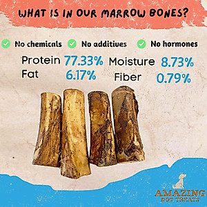 Amazing Dog Treats - 5-6 Inch Meaty Beef Marrow Bones (2 Count) - Best Bones for Dogs - Long Lasting Dog Chew Bones - Filled Marrow Dog Bone