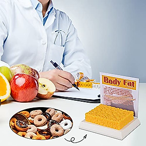 SimCoach Human Body Fat Replica 1 Lb, Keep Fit & Weight Loss Motivation & Reminder, Silicone Human Fatty Tissue Demonstration Model for Nutritionist, Athlete