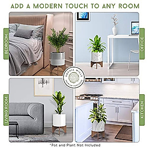 Plant Stand Mid Century Wood - Wooden Stool Riser For Indoor Plant, Natural Acacia Planter Base - Fits 8 To 12-Inch Diameter - Modern Minimalist Pot Holder Stands (Pot Not Included) - Flat Arch Design