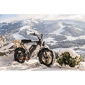 Freego Electric Bike for Adults, 1200W/48V/20Ah, 20"x 4" Fat Tires Off Road Electric Bicycle with Removable Battery, 31MPH & 40 Miles Long Range Ebike UL Certified,DK200 Pro with Two Seats