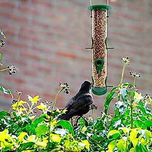 MIXXIDEA Bird Feeder Tube Hanging Feeders, 6 Port Wild Bird Feeders Premium Hard Plastic with Steel Hanger Weatherproof and Water Resistant Great for Attracting Birds 18.2 Inches Large (Dark Green)